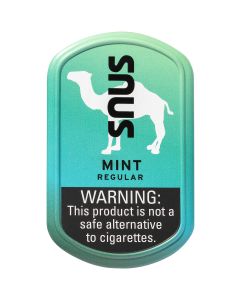 What is Snus? A Complete Guide - Northerner US