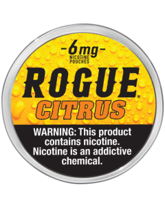 How to Use Nicotine Pouches? - A complete guide - The Northerner