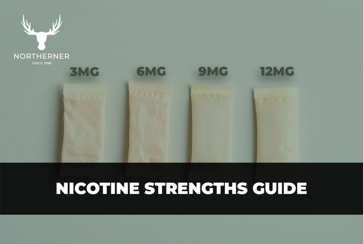 Quitting Nicotine Pouches A Guide Northerner Quitting Nicotine Pouches A Guide Northerner