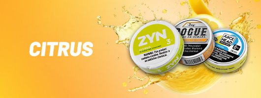 Citrus Flavored Nicotine Pouches - All Citrus Flavors - Northerner US