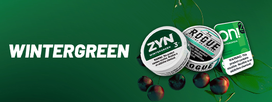 Wintergreen Flavored Nicotine Pouches - Order Online - Northerner US