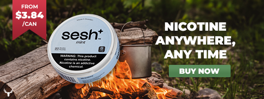 Buy Sesh Nicotine Pouches Online - Fast shipping - Northerner US