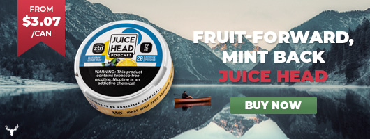 Buy Juice Head Nicotine Pouches - All Flavors - Northerner US